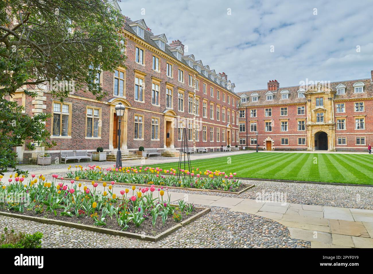 Spring tulips in the flowerbed of the main courtyard at St Catharine's ...