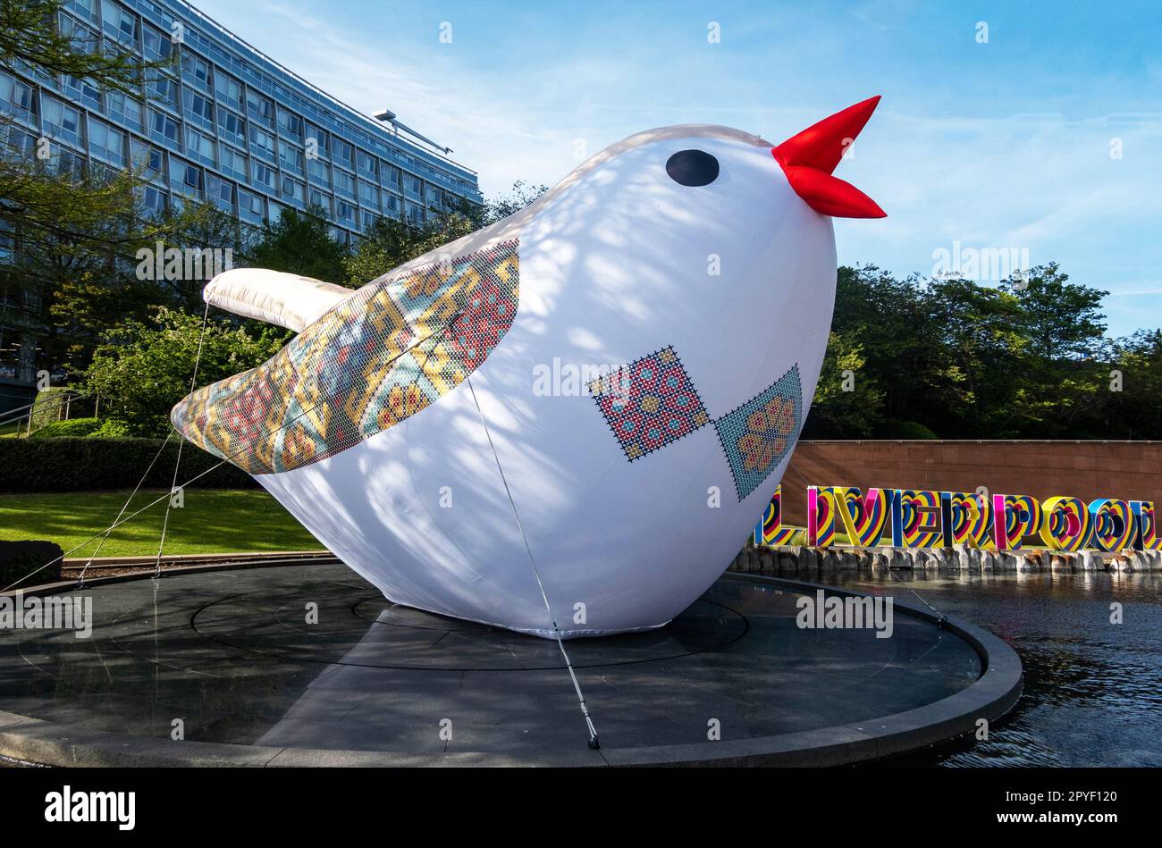 Soloveiko Songbird the national bird of Ukraine for Eurovision 2023 in ...
