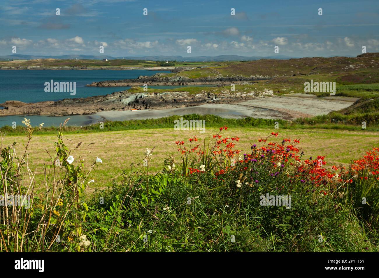 Sherkin island west cork hi-res stock photography and images - Alamy
