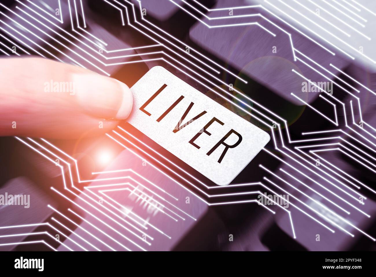 Conceptual display Liver. Internet Concept Large lobed glandular organ ...