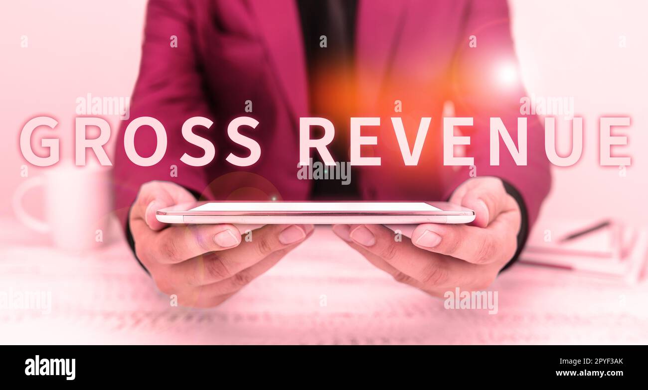 Text caption presenting Gross Revenue. Business approach total value of ...