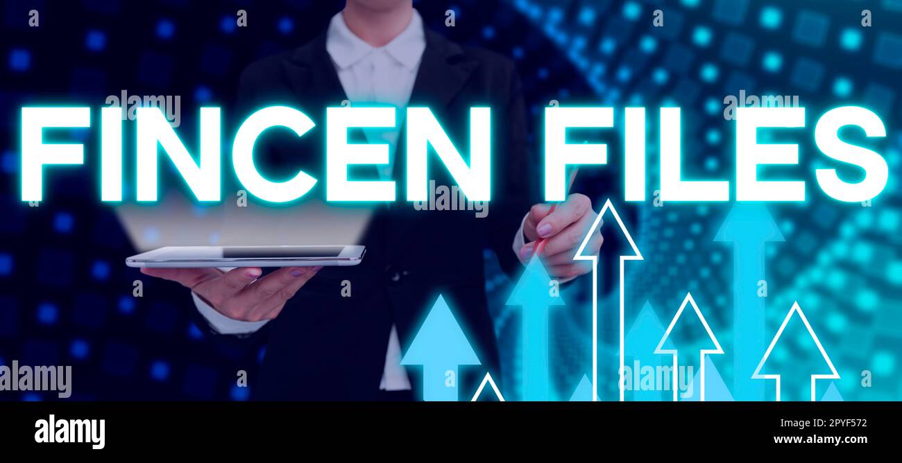 Text showing inspiration Fincen Files. Word for Transactions in ...