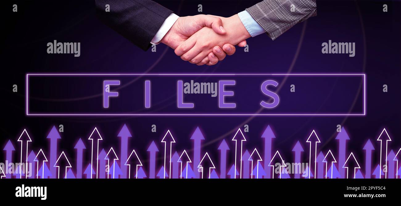 Text showing inspiration Files. Business overview Folder box for ...