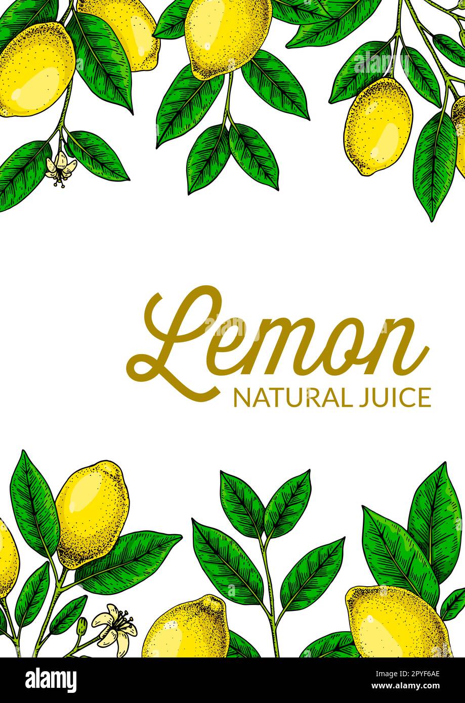 Vertical lemon background. Hand drawn colorful vector illustration in ...