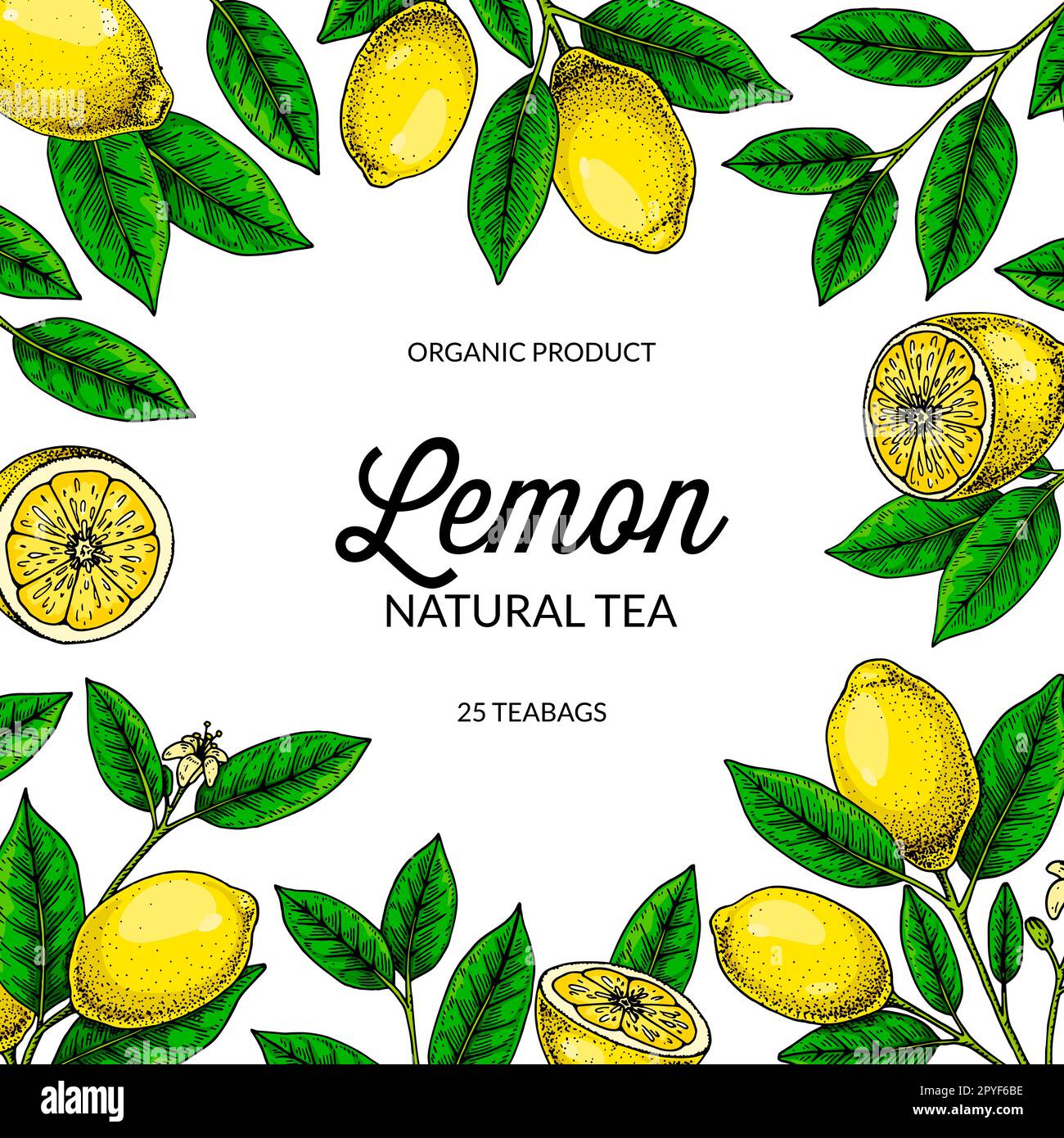 Square lemon background. Hand drawn colorful vector illustration in ...