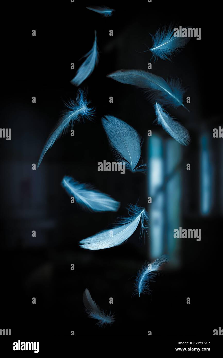 feathers fall background Stock Photo - Alamy