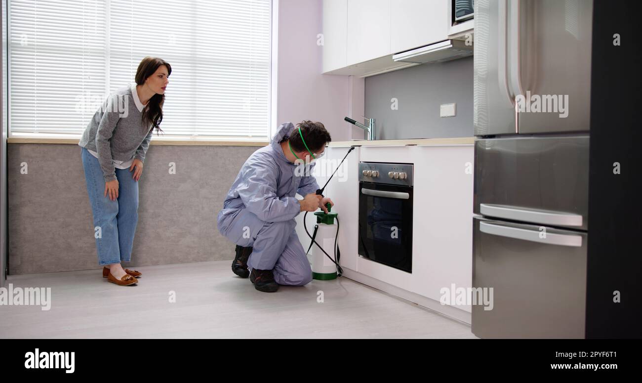Exterminator Worker Spraying Insecticide Chemical Stock Photo - Alamy