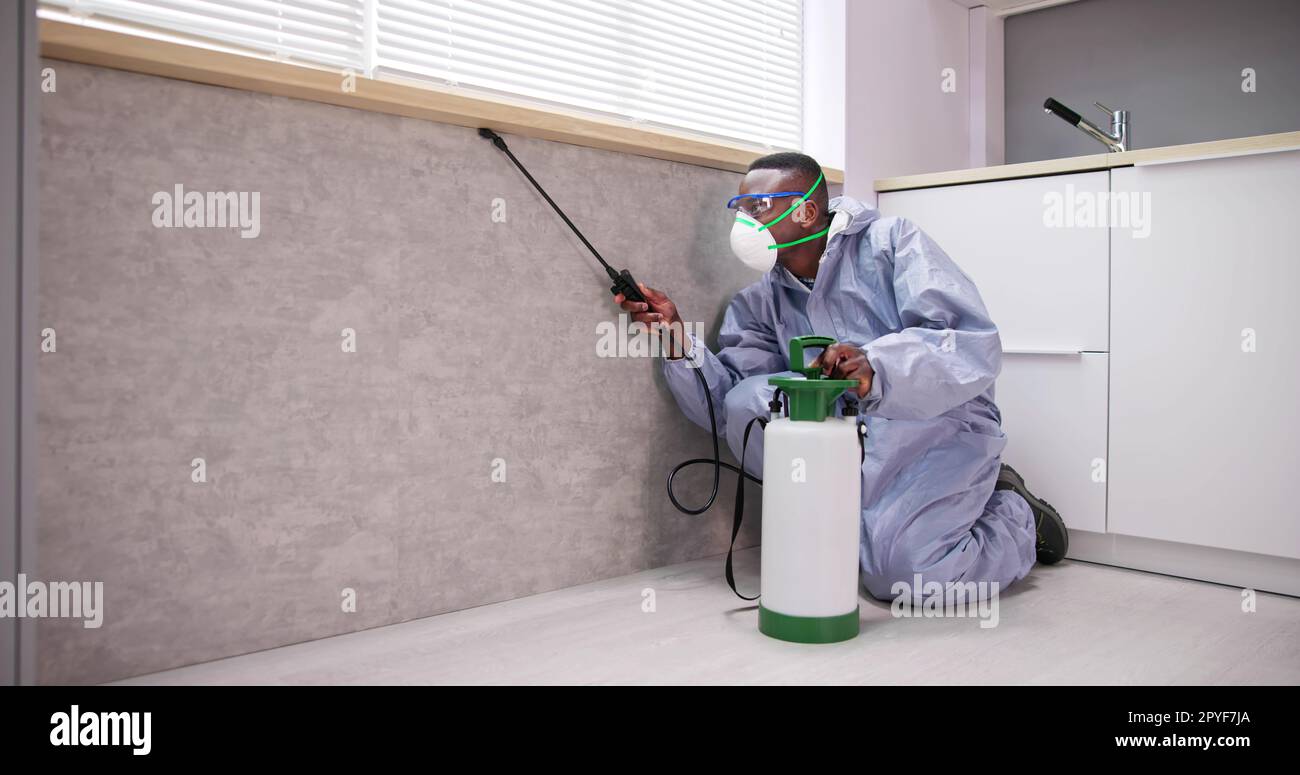 Spraying pesticide african hi-res stock photography and images - Alamy