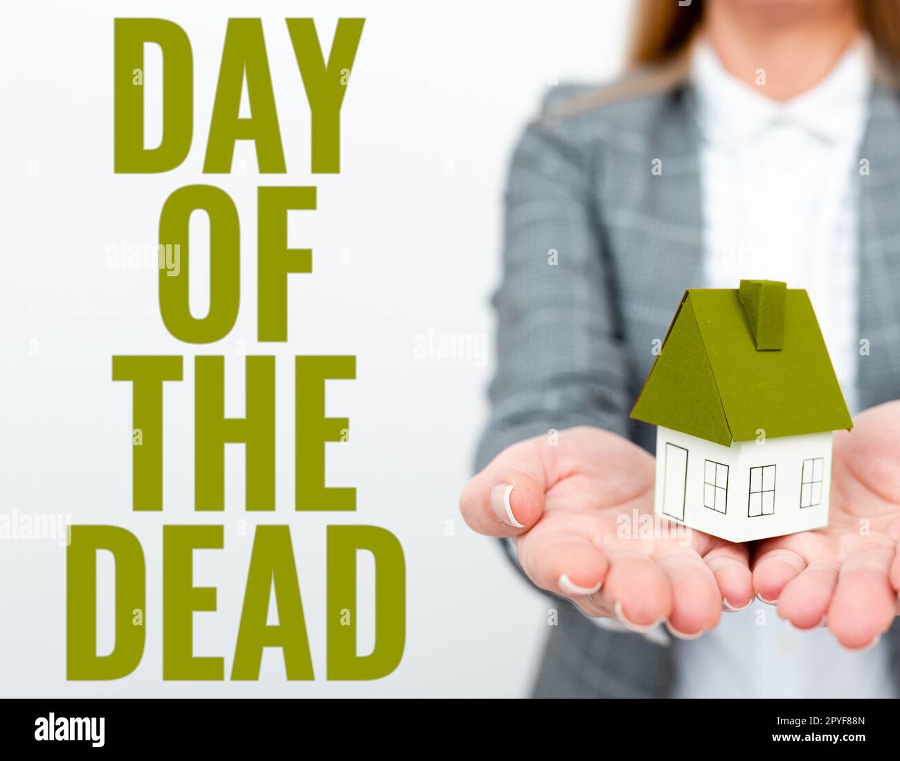 Text sign showing Day Of The Dead. Business overview mexican ...