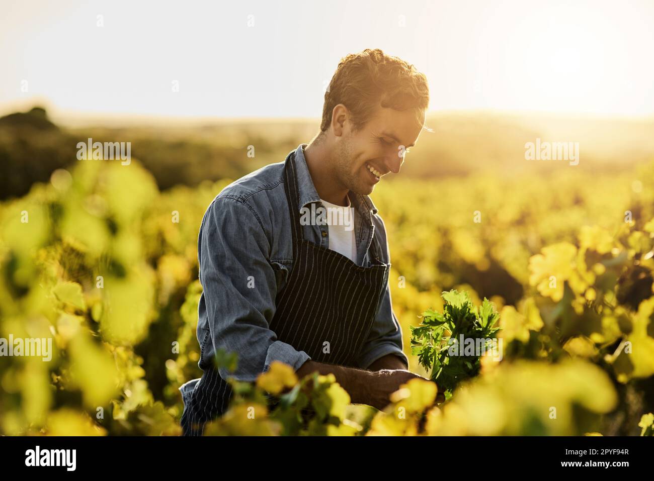 The happiest moments are made on a farm. a young man tending to the ...