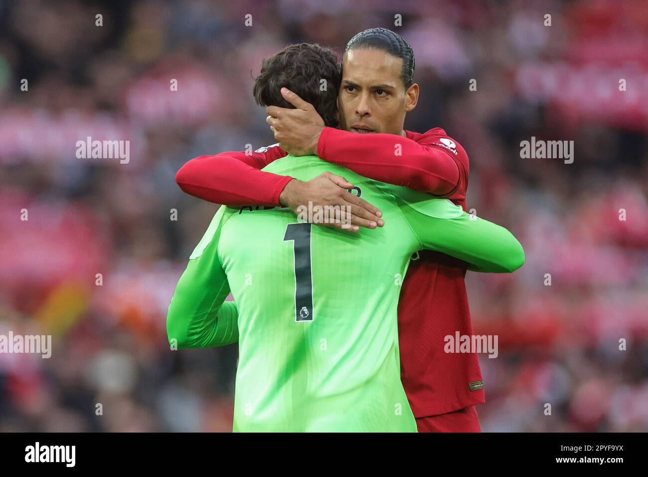 Alisson van dijk hi-res stock photography and images - Alamy