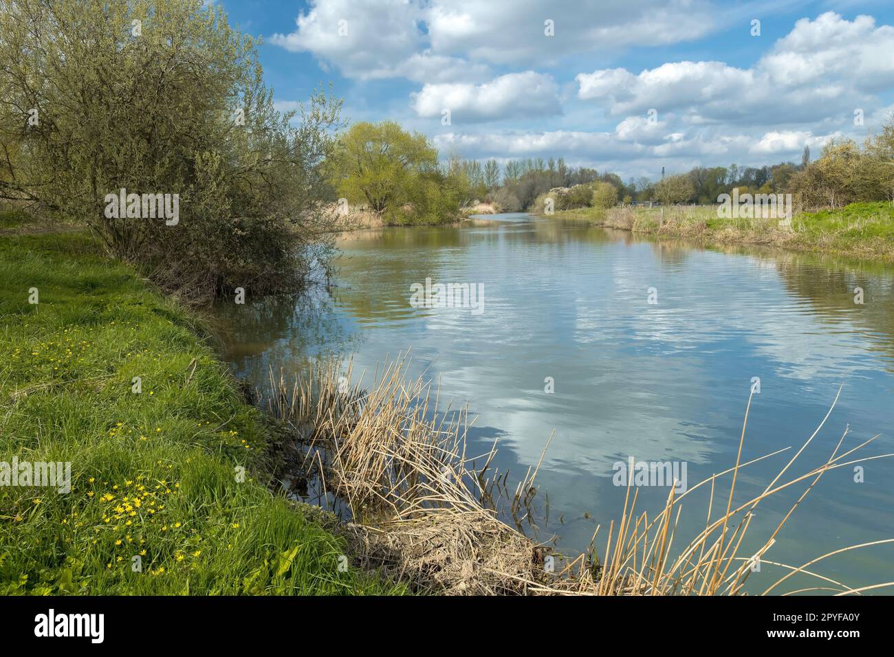 The Nene River is a river in Northampton, UK Stock Photo - Alamy