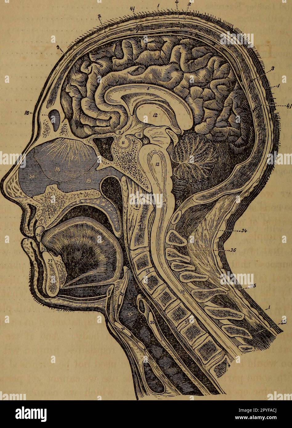 "Our home physician: a new and popular guide to the art of preserving ...