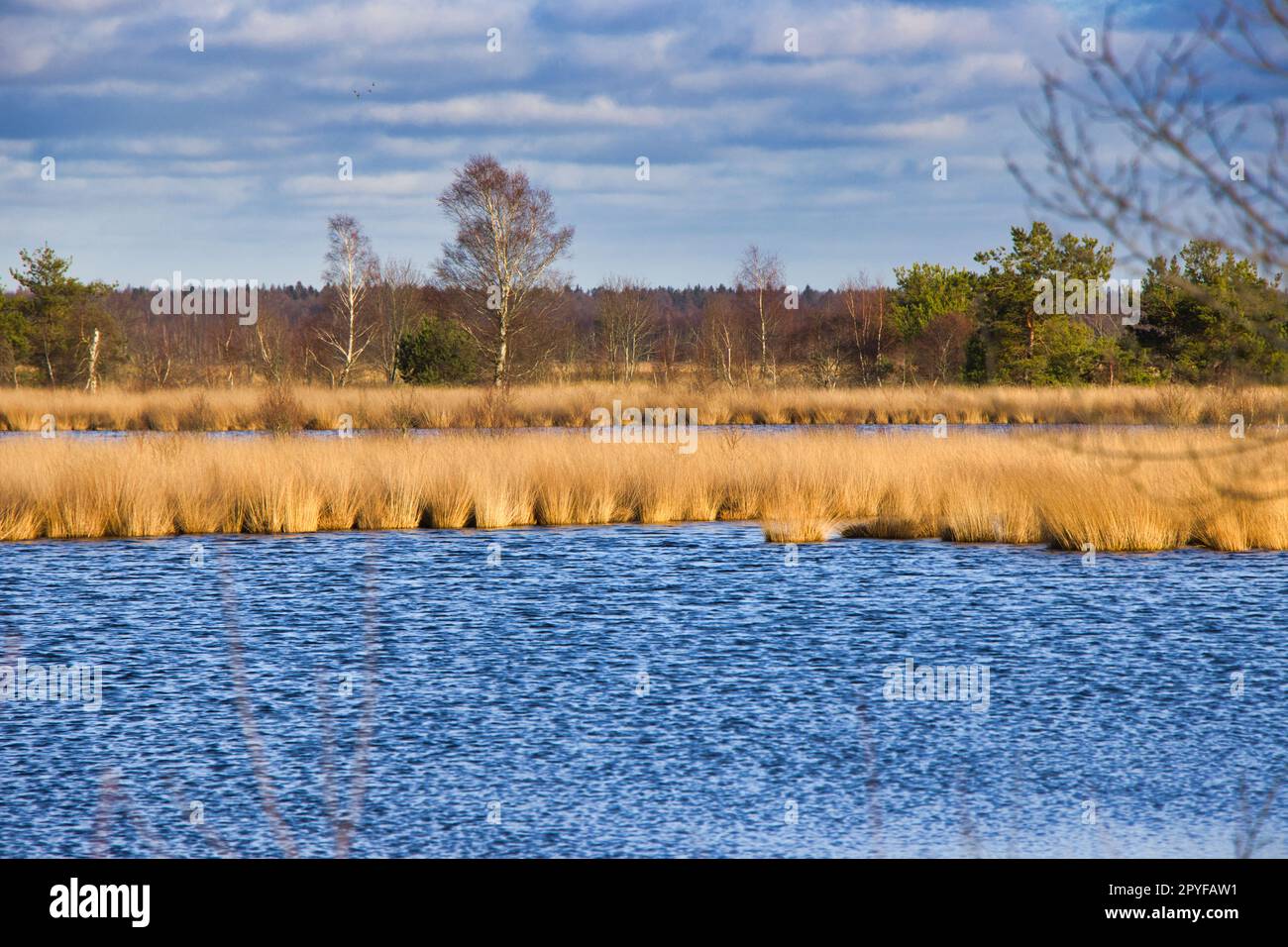 Rewetting moorland hi-res stock photography and images - Alamy