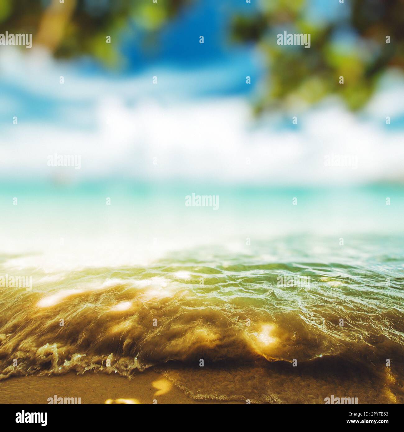 Tropical blur beach ocean paradise Stock Photo - Alamy