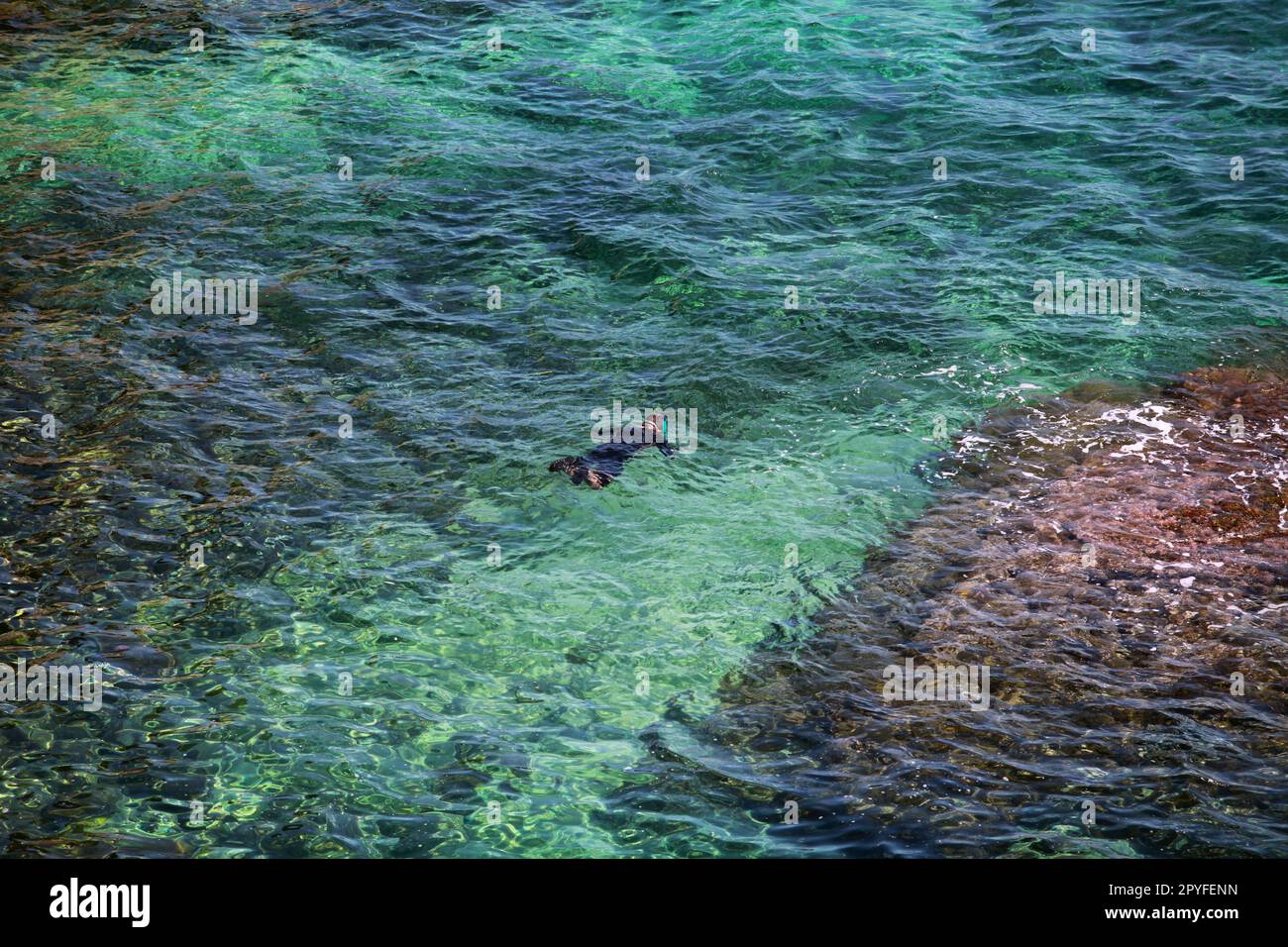 Snorkeling in the emerald water hi-res stock photography and images - Alamy