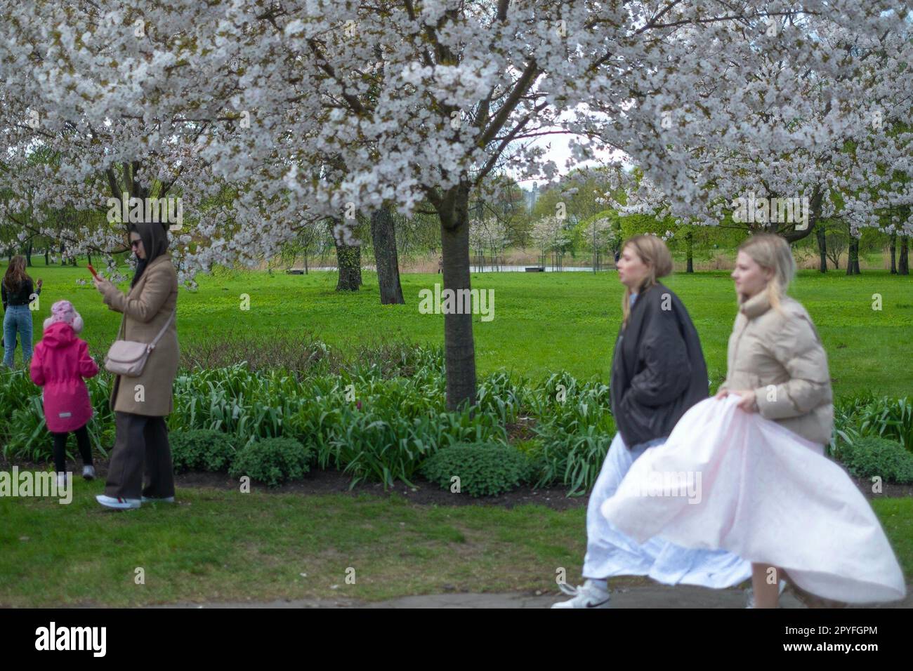 People enjoying spring in Riga, photographing with blooming flowers ...