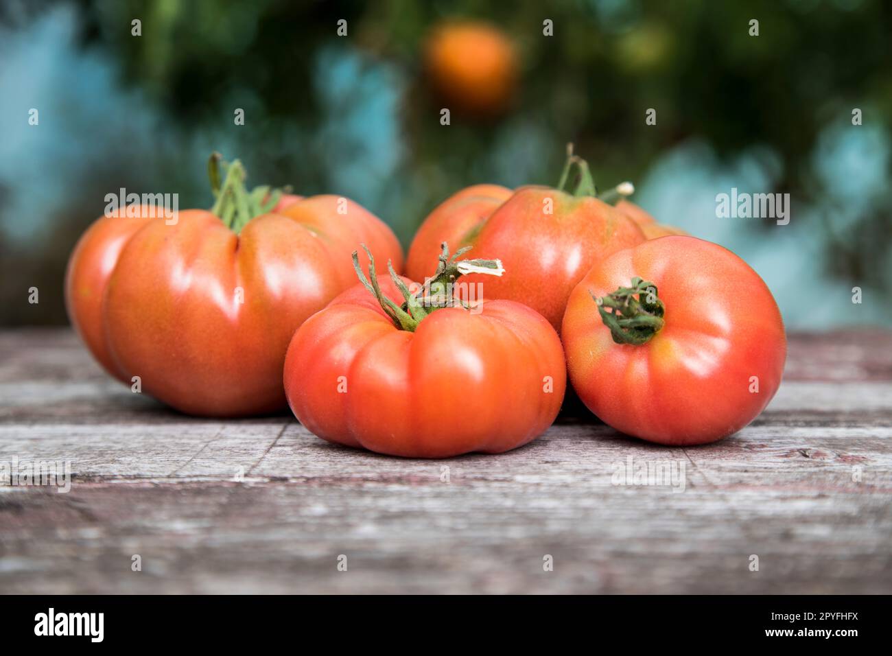 Organic food, Free red vegetables of tomato Stock Photo - Alamy