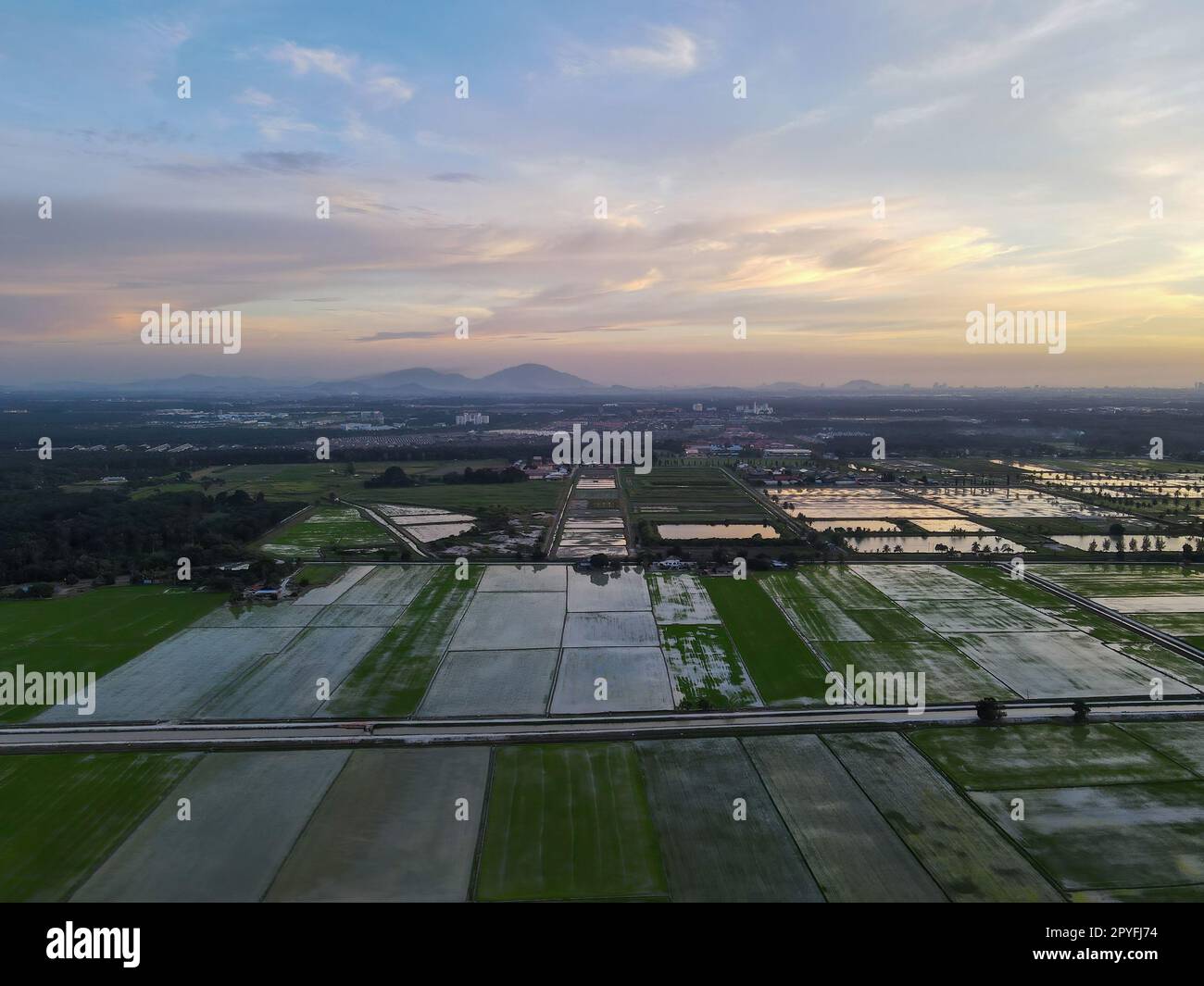 Aerial paddy field dramatic beautiful hi-res stock photography and ...