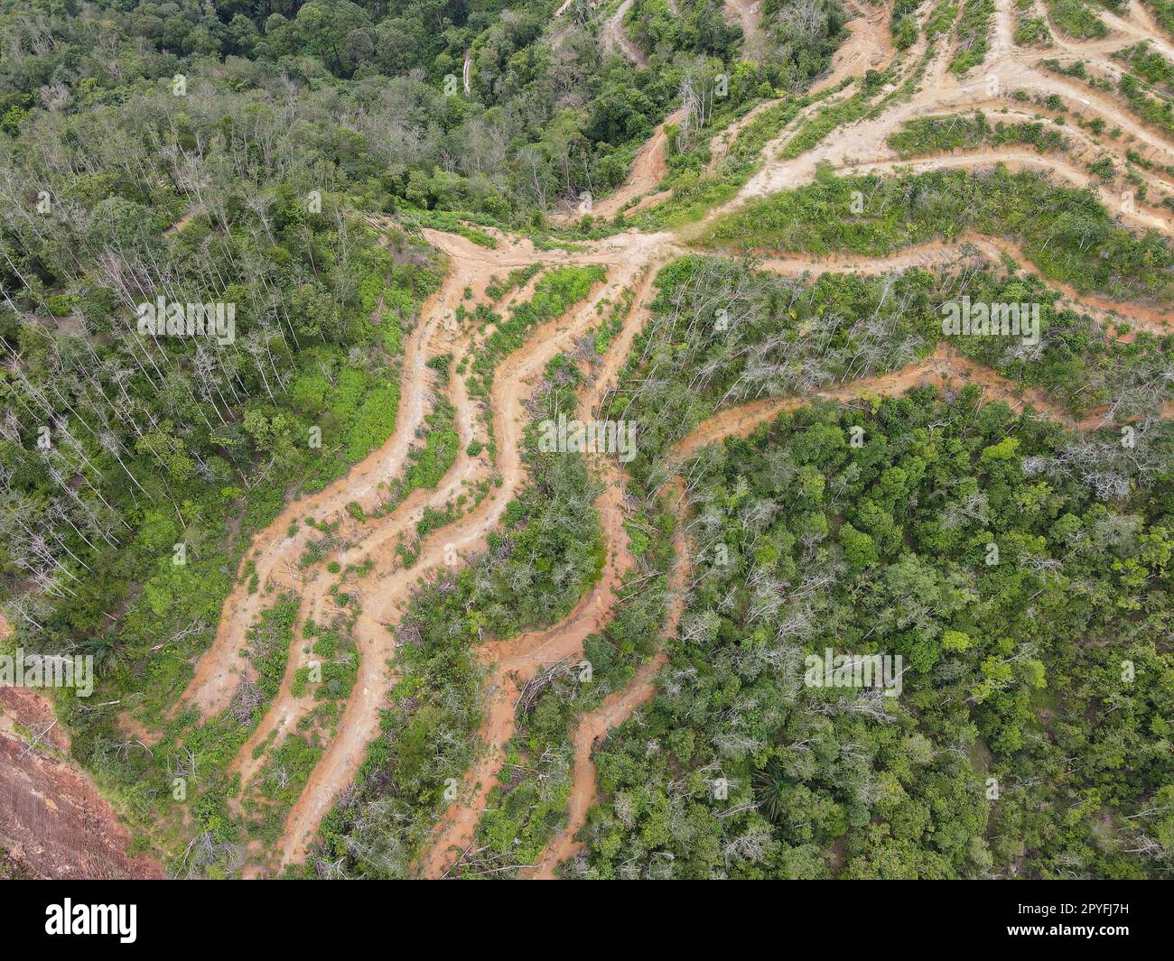 Look down view hi-res stock photography and images - Alamy