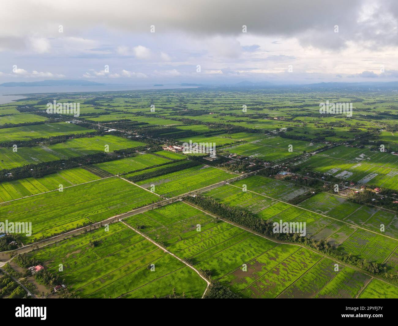 Aerial view green natural landscape of paddy field Stock Photo - Alamy