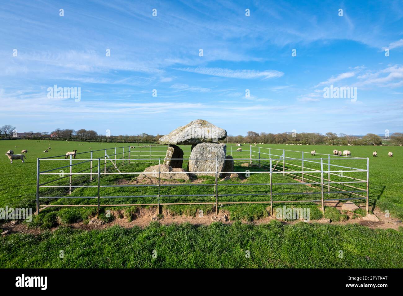 Bodowyr burial chamber situated near Llangaffo on the Island of ...
