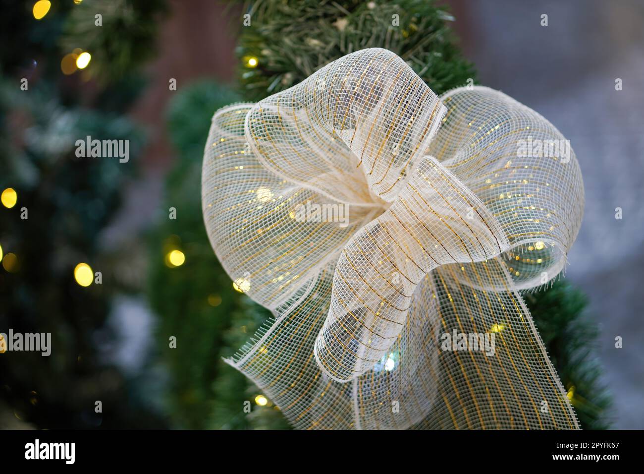 Ribbon tied to tree hi-res stock photography and images - Alamy