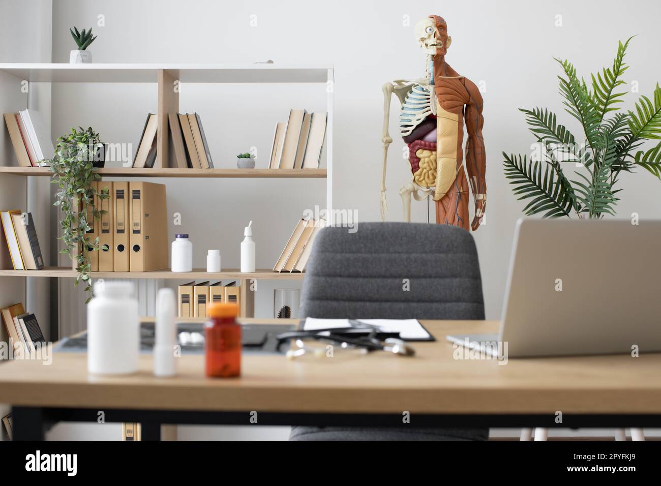 Human skeleton on stand hi-res stock photography and images - Alamy