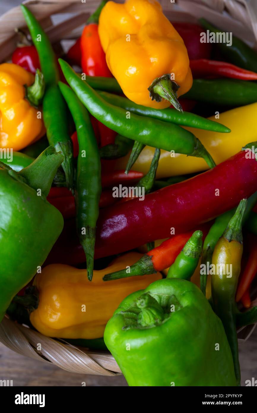 Fresh colored hot peppers on a white background Stock Photo - Alamy