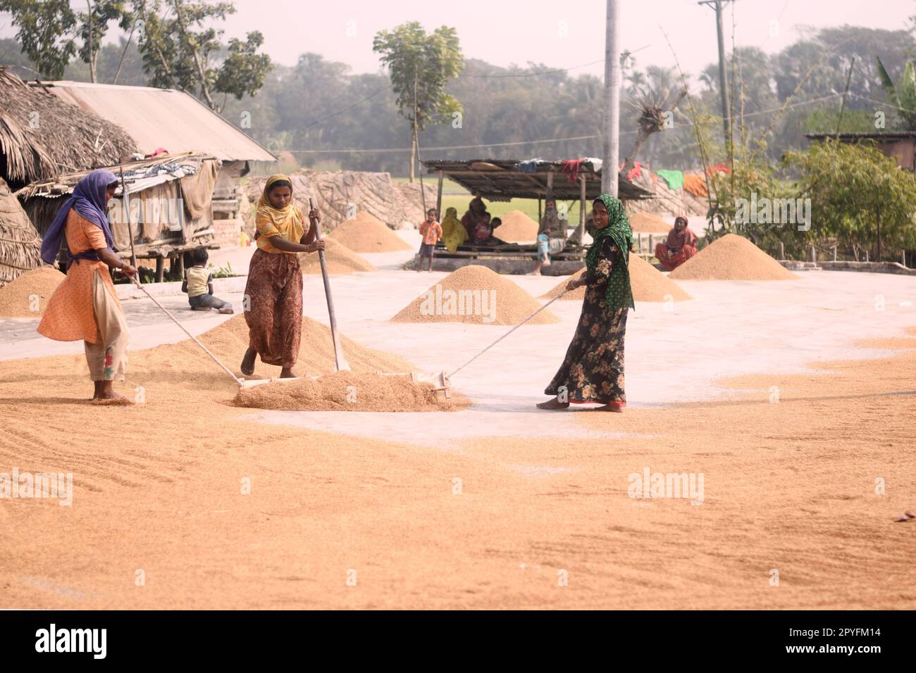 Day Labour / Lady Workers Stock Photo - Alamy
