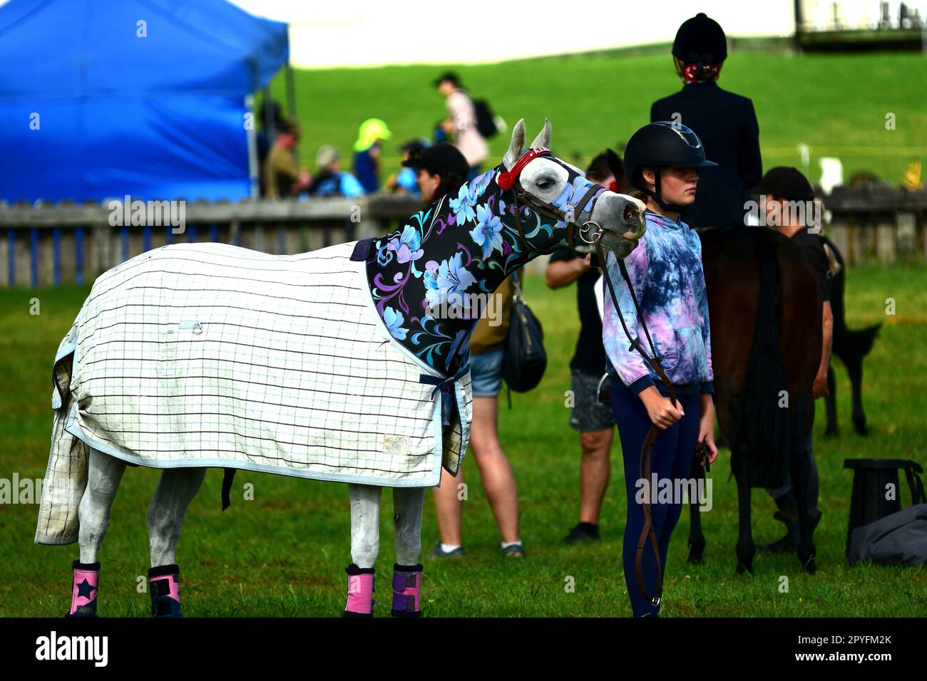 Auckland, New Zealand - Feb 2023. An equestrian event participants: a ...