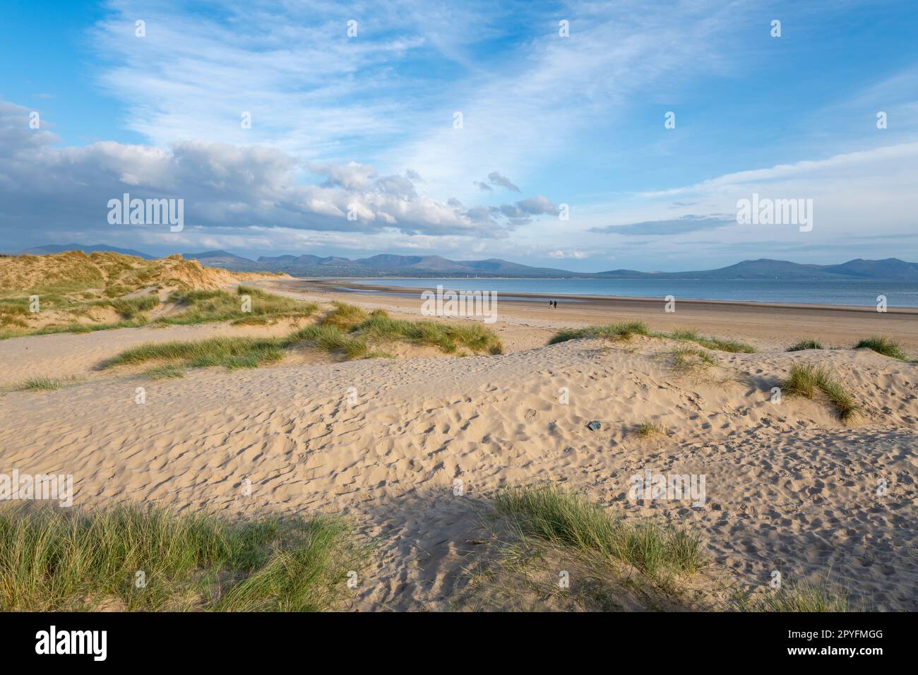 Newborough beach on a spring evening on Anglesey, North Wales. View ...