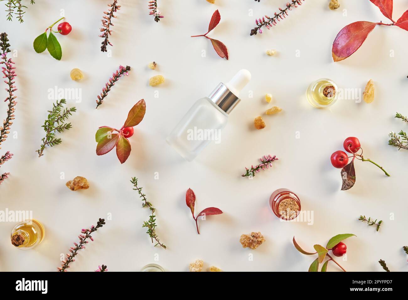 Selection of aromatherapy essential oil with frankincense, wintergreen ...