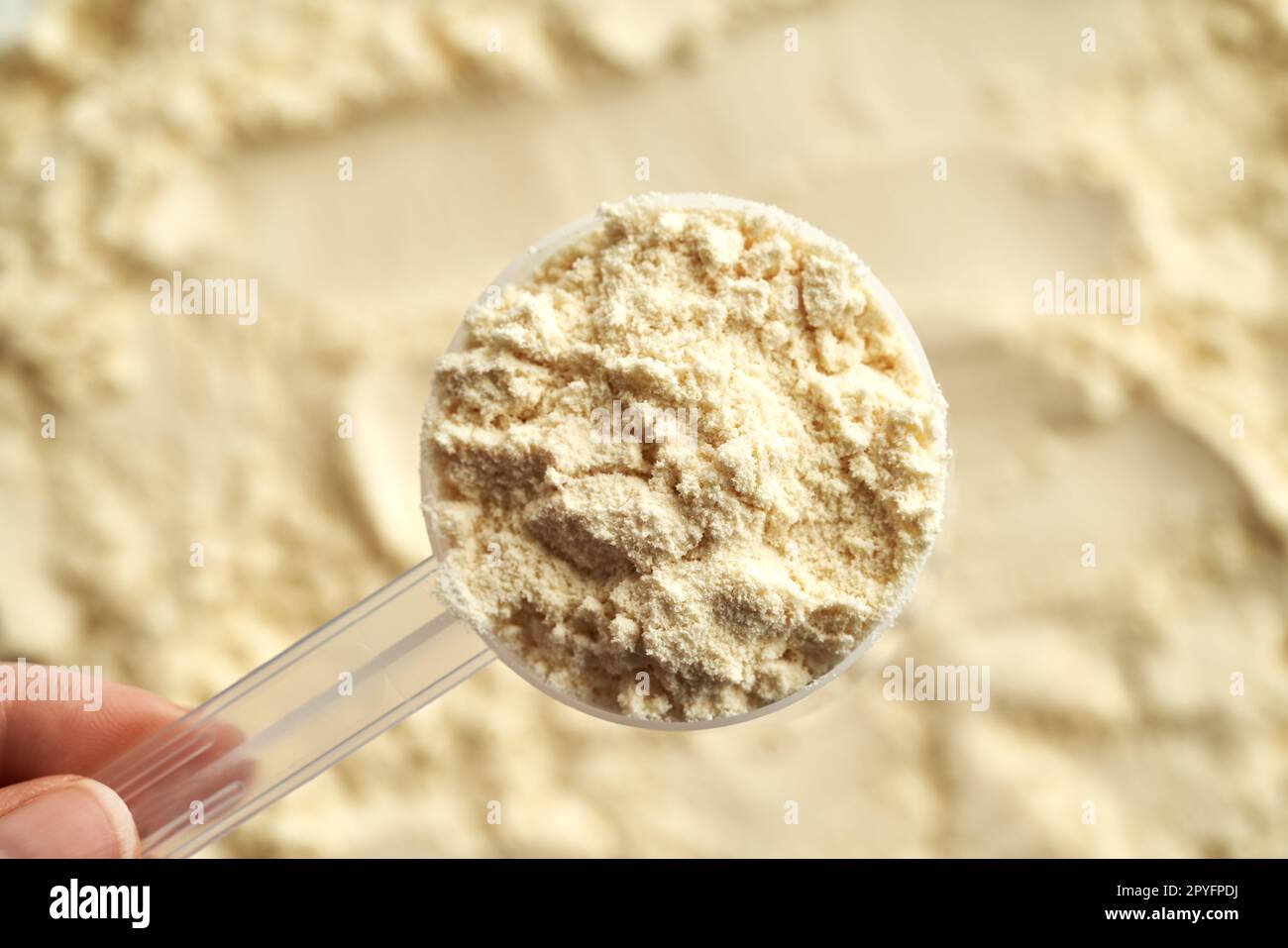 Vanilla whey protein powder in a plastic measuring cup, top view Stock ...