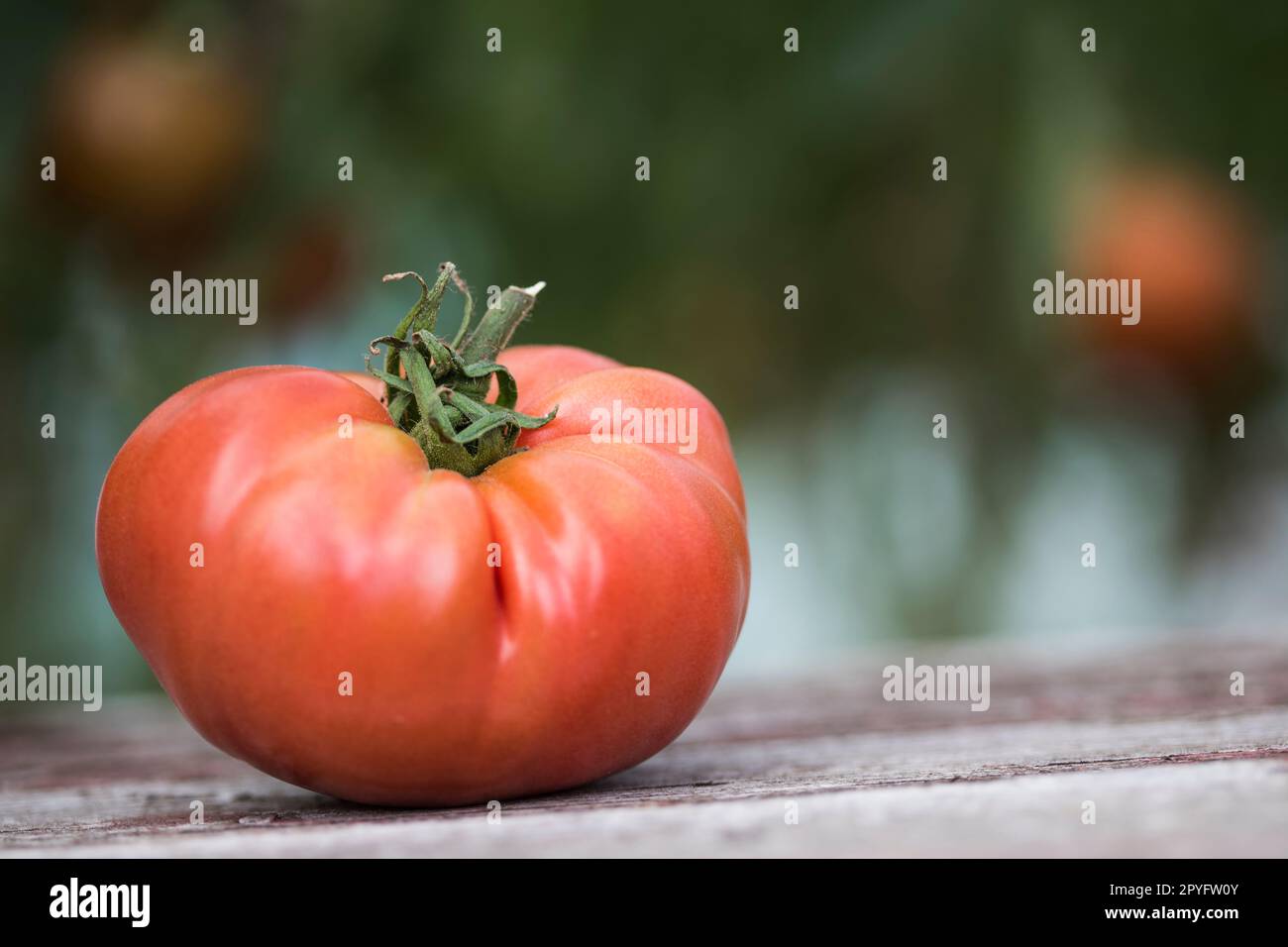 Organic food, Free red vegetables of tomato Stock Photo - Alamy