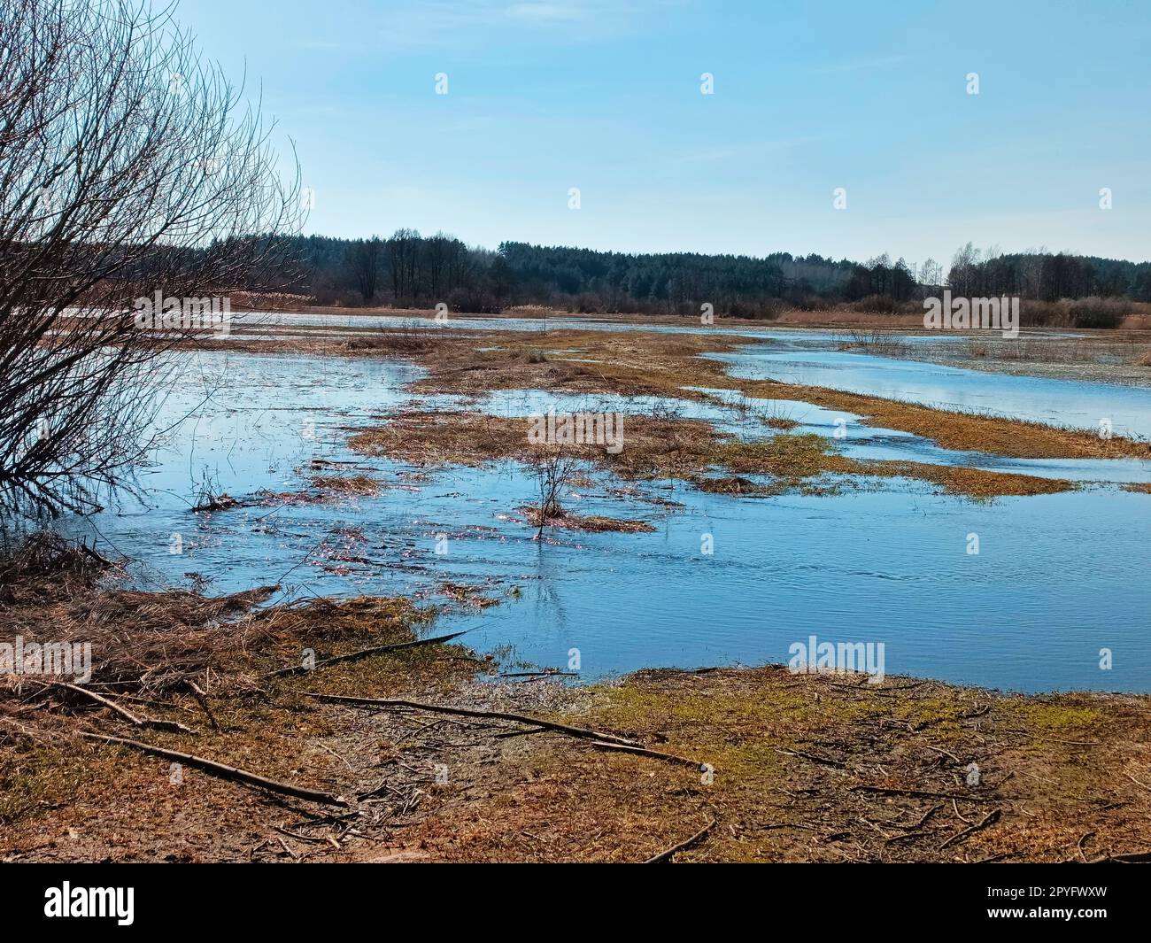 Early spring, river flood on agricultural meadows. Reflection in ...