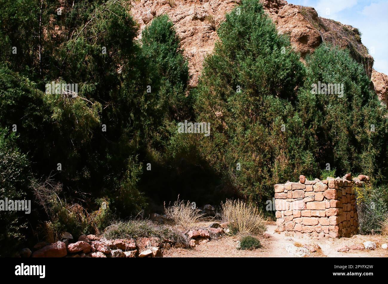 Old capped water well in the desert Stock Photo - Alamy