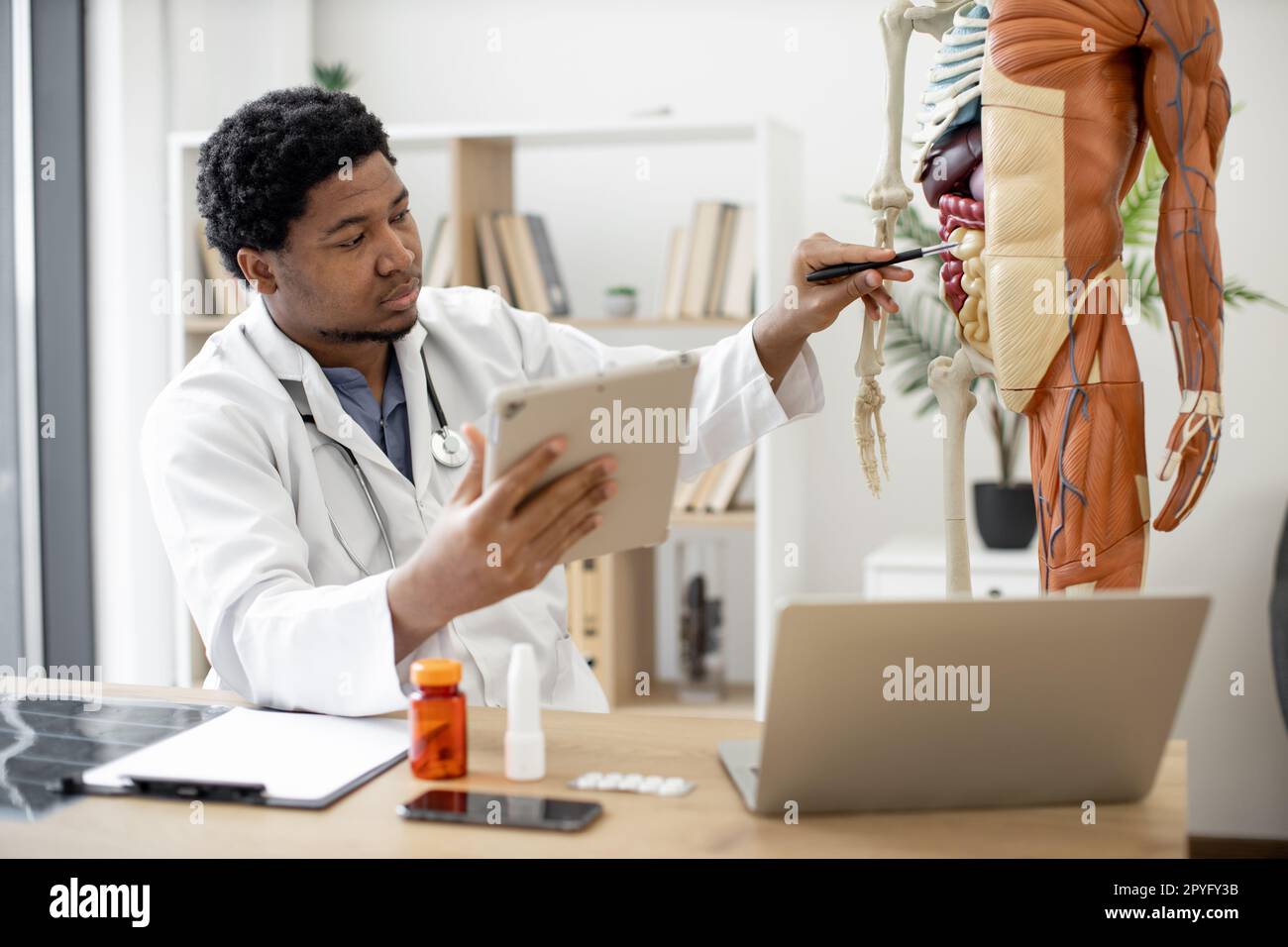 Confident multicultural adult in lab coat pointing at small intestine ...