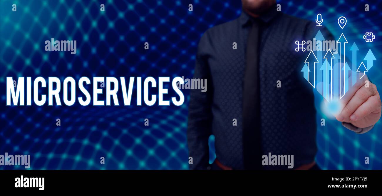 Text showing inspiration Microservices. Business overview Software ...