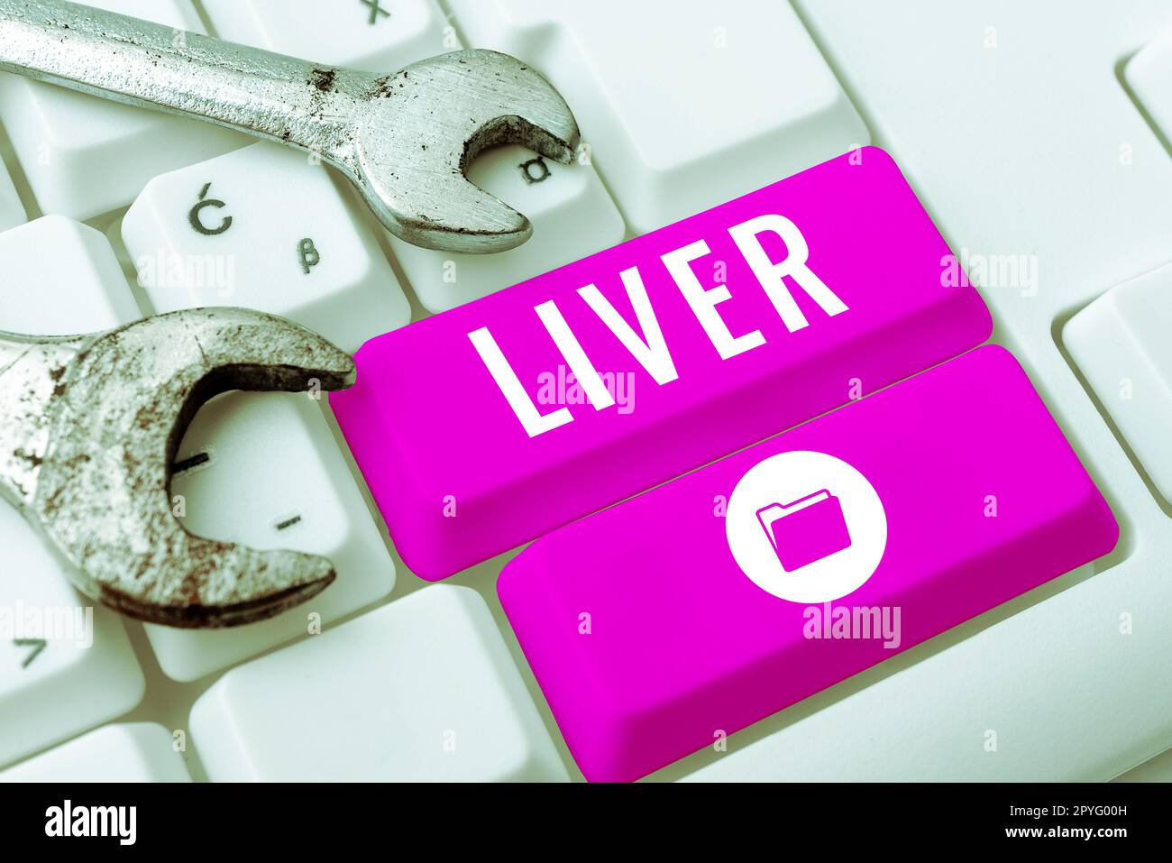 Text showing inspiration Liver. Conceptual photo Large lobed glandular ...