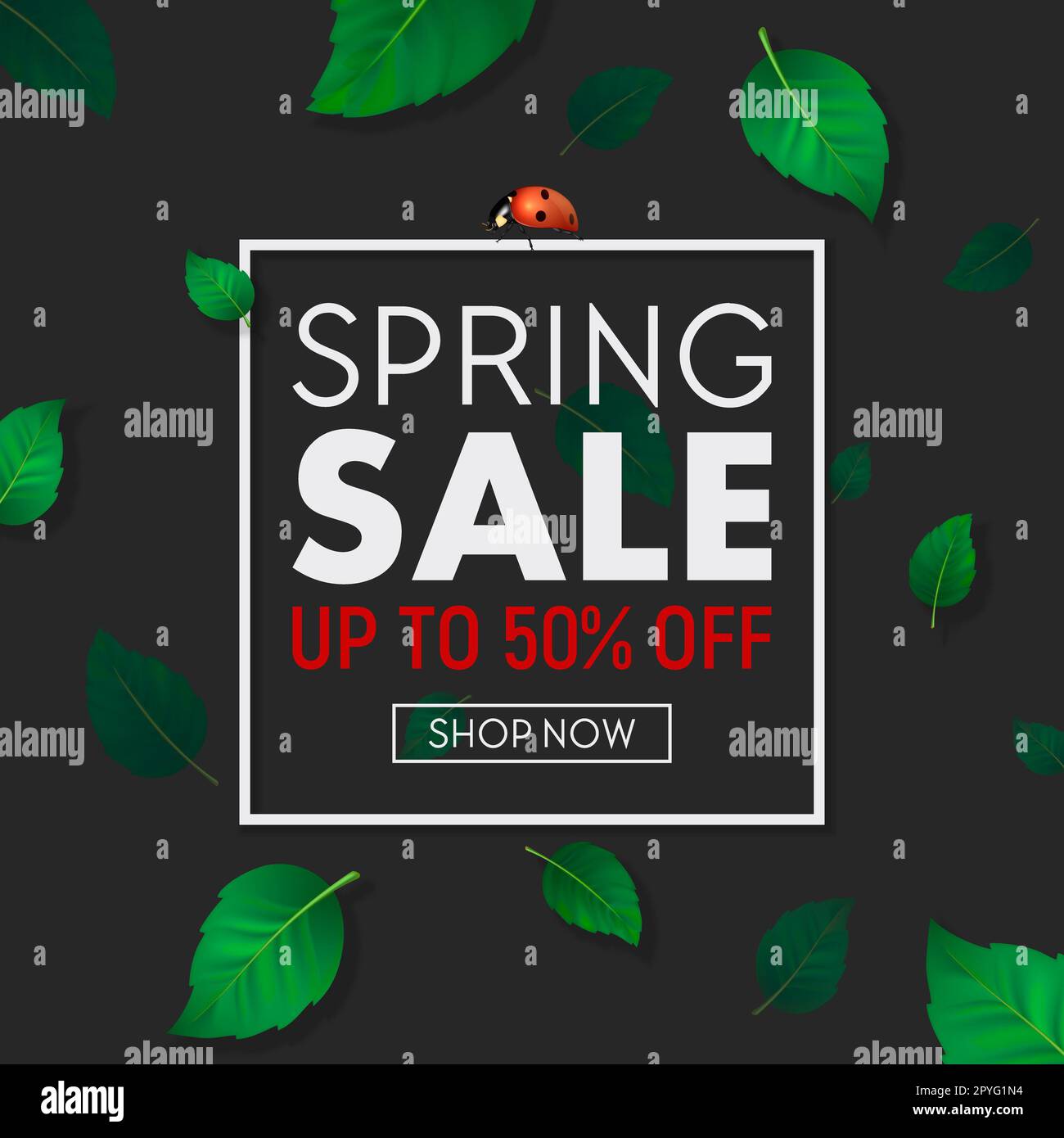 Spring sale background banner with frame, beautiful green leaves and ...