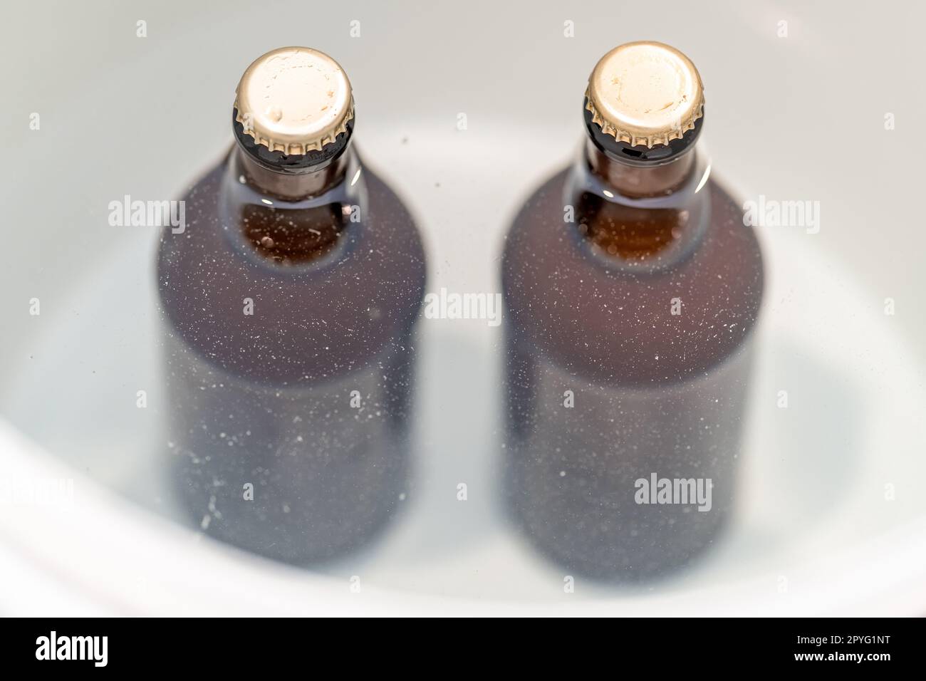 beer bottles in water in a container Stock Photo - Alamy
