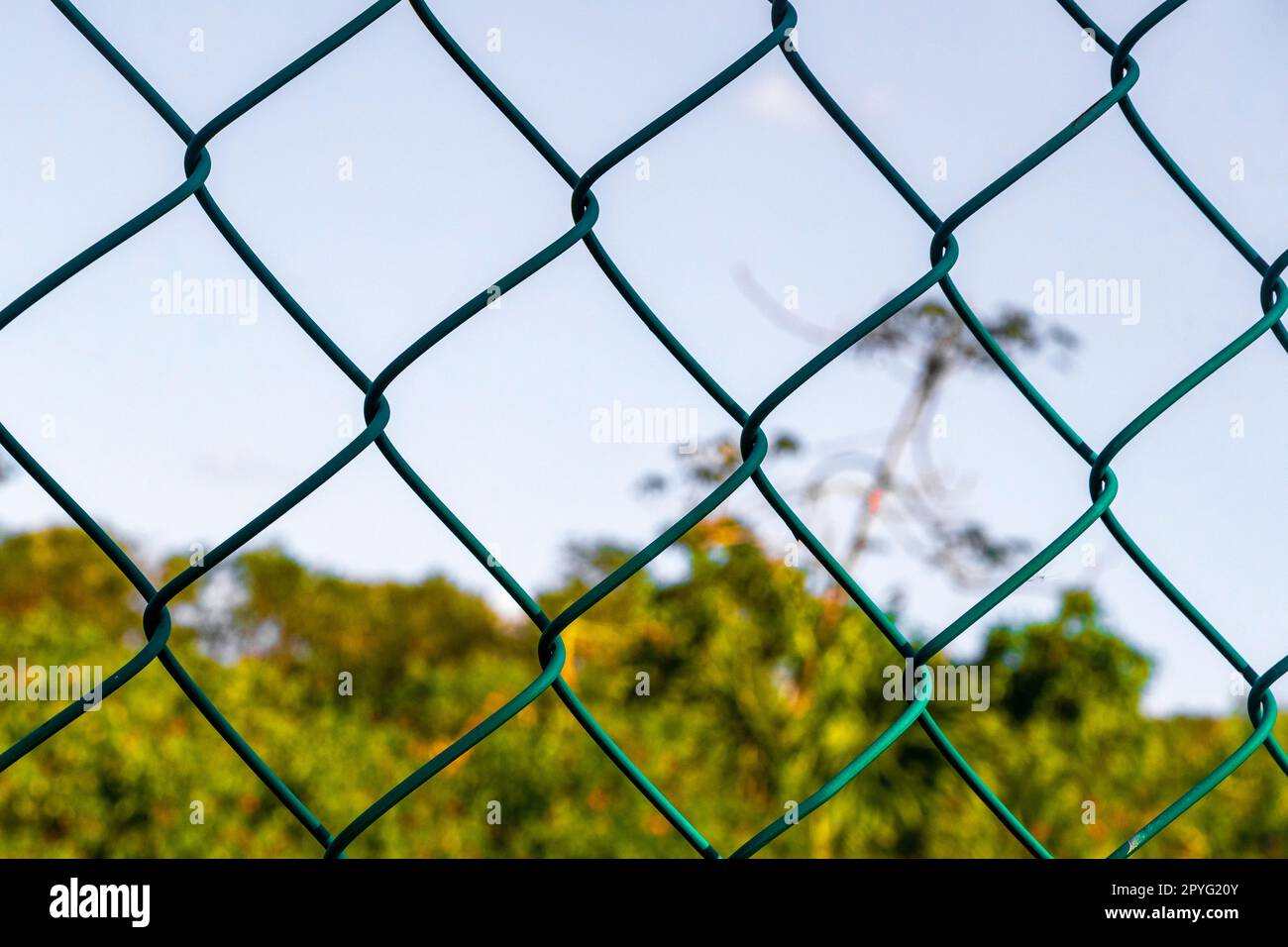 Tropical Jungle Forest Nature Enclosed Fenced Behind Bars in Playa del ...