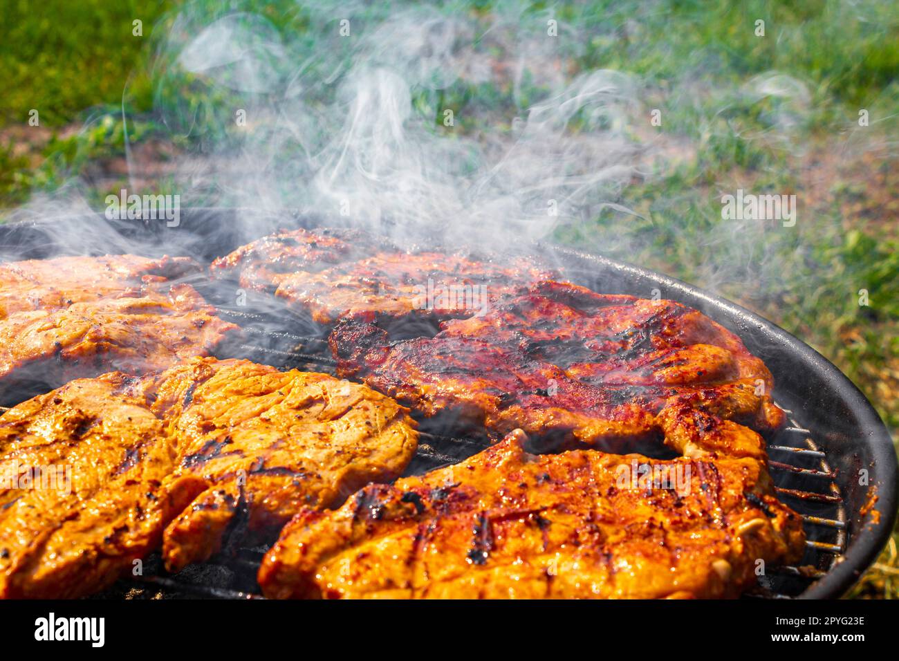 Preparing Barbeque BBQ Campfire and sausages meat steak chicken Germany ...