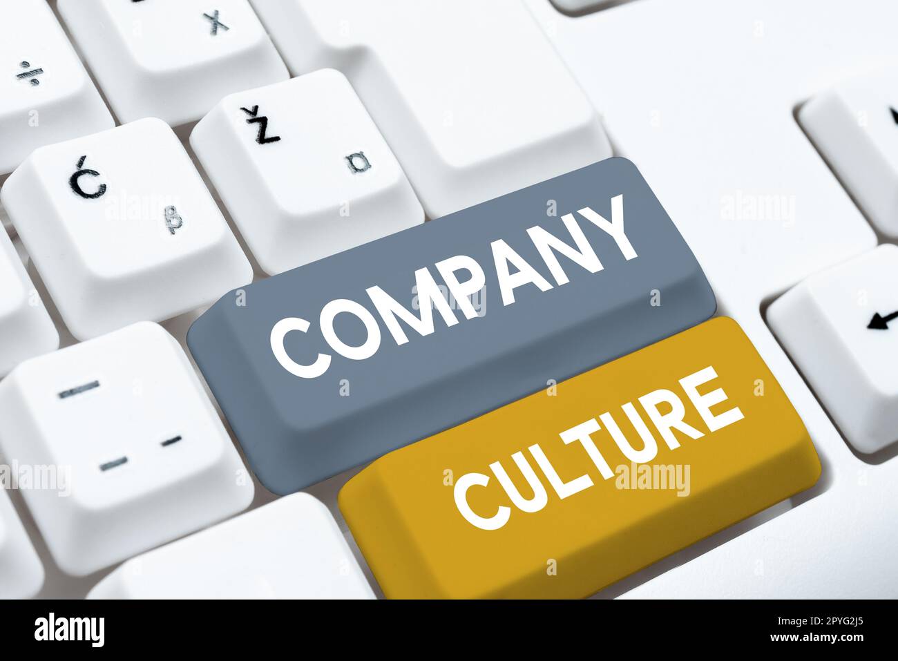 Sign displaying Company Culture. Conceptual photo The environment and ...