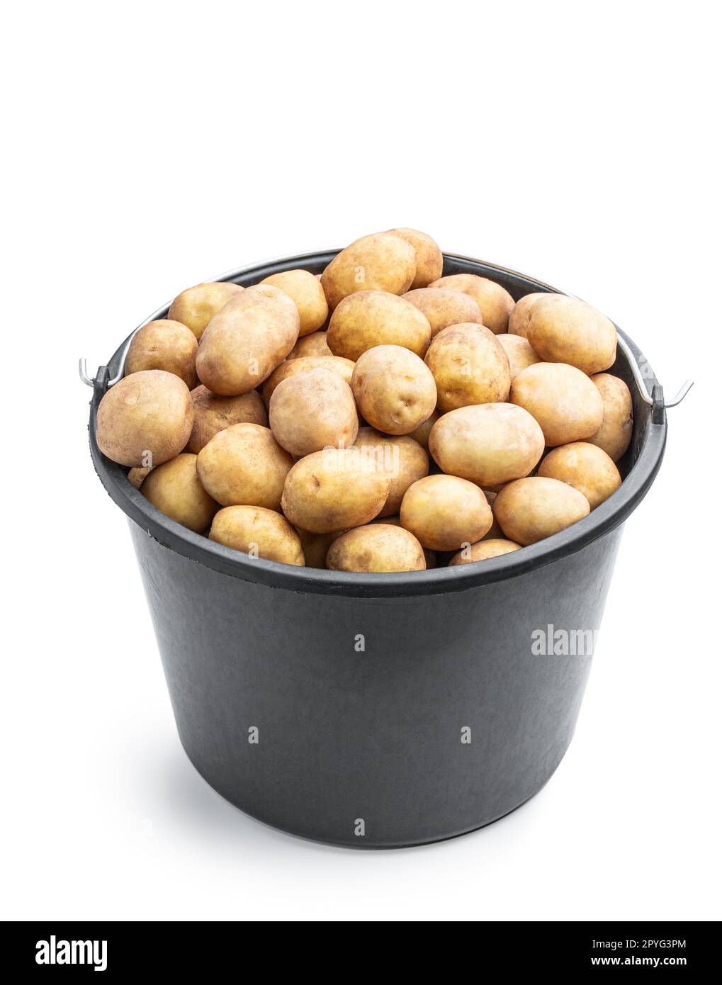 Potato tubers in black plastic bucket isolated on white Stock Photo - Alamy