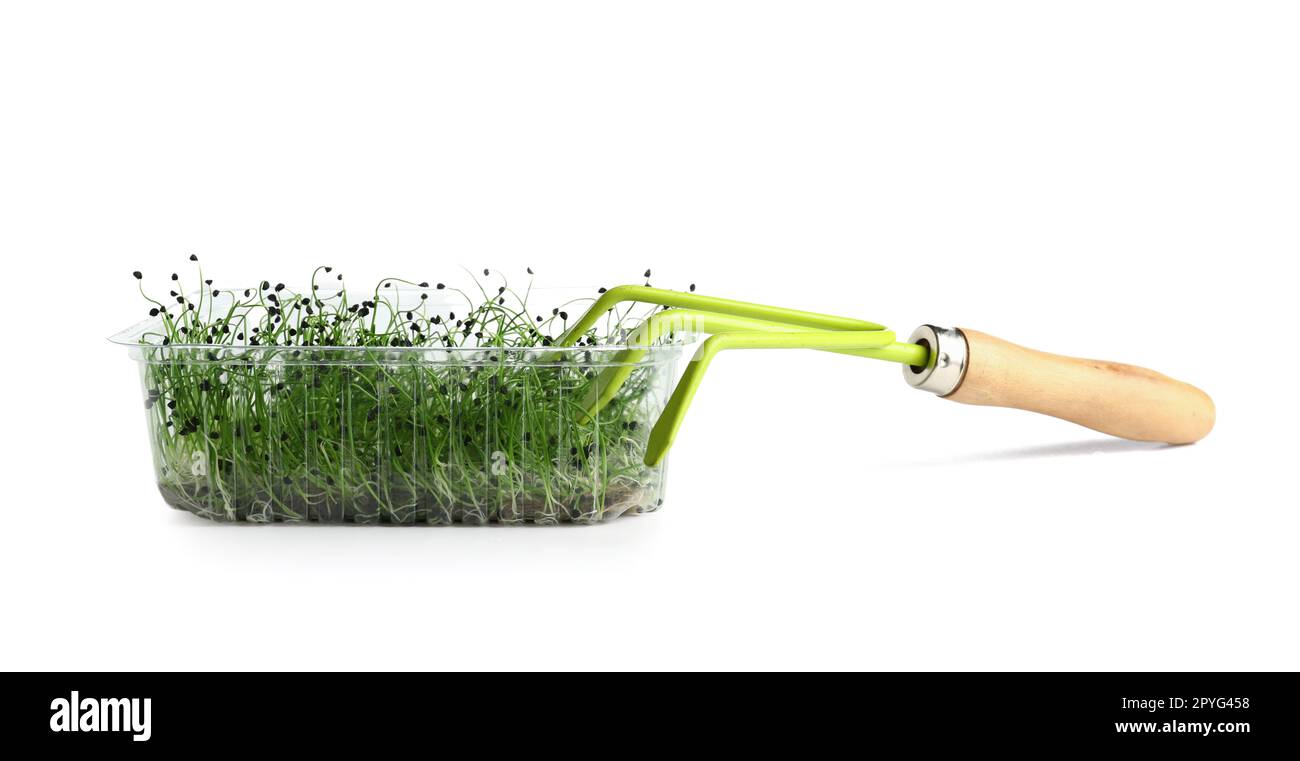 Plastic container with fresh micro green and rake on white background ...
