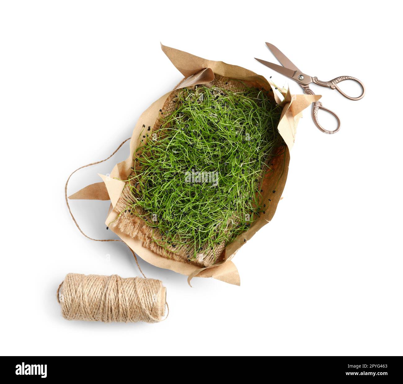 Fresh micro green, rope and scissors on white background Stock Photo ...