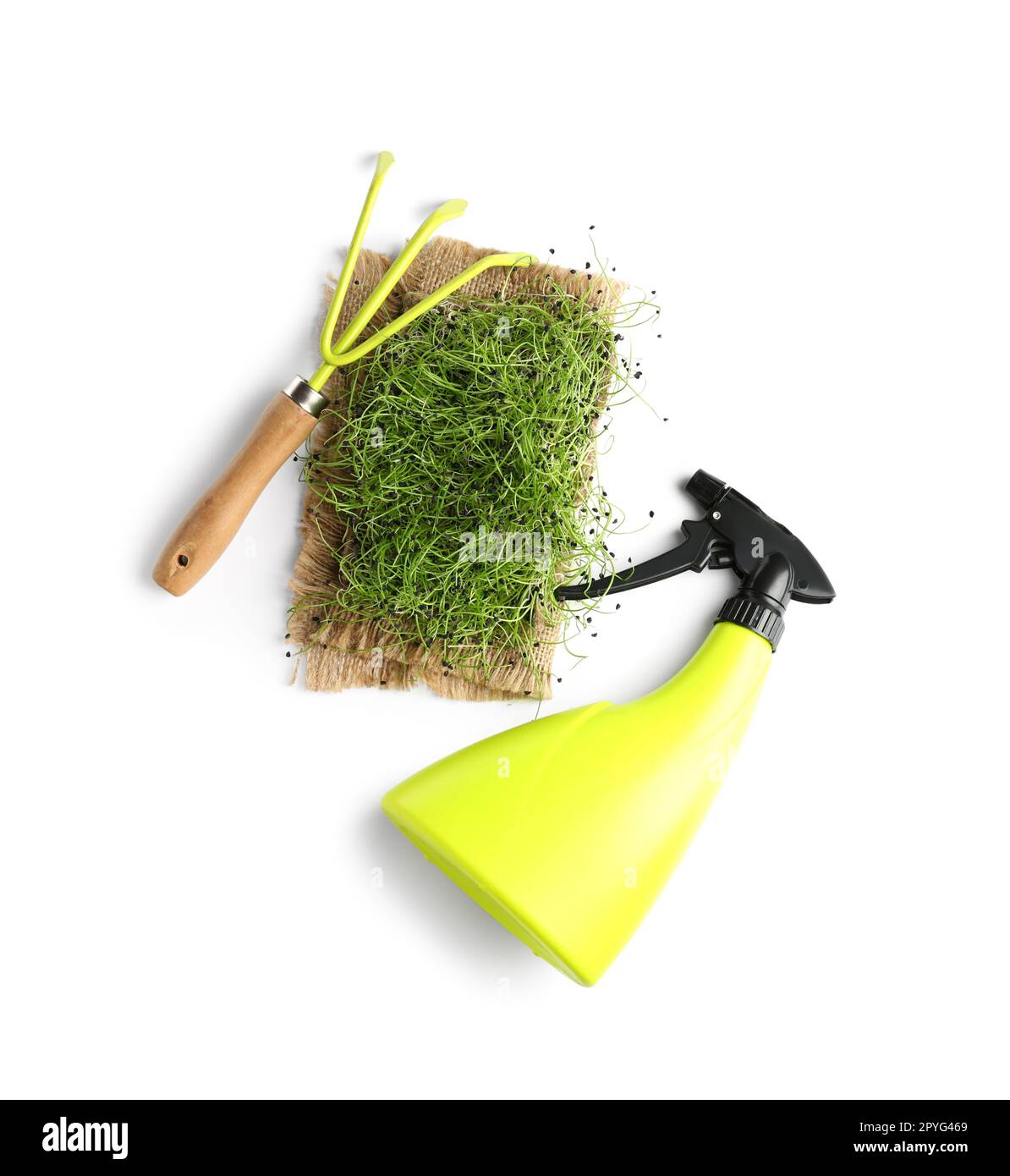 Fresh micro green, rake and water spray on white background Stock Photo ...