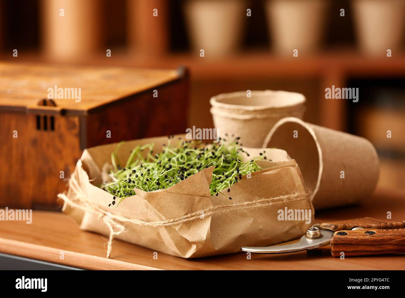 Buckwheat microgreens hi-res stock photography and images - Alamy